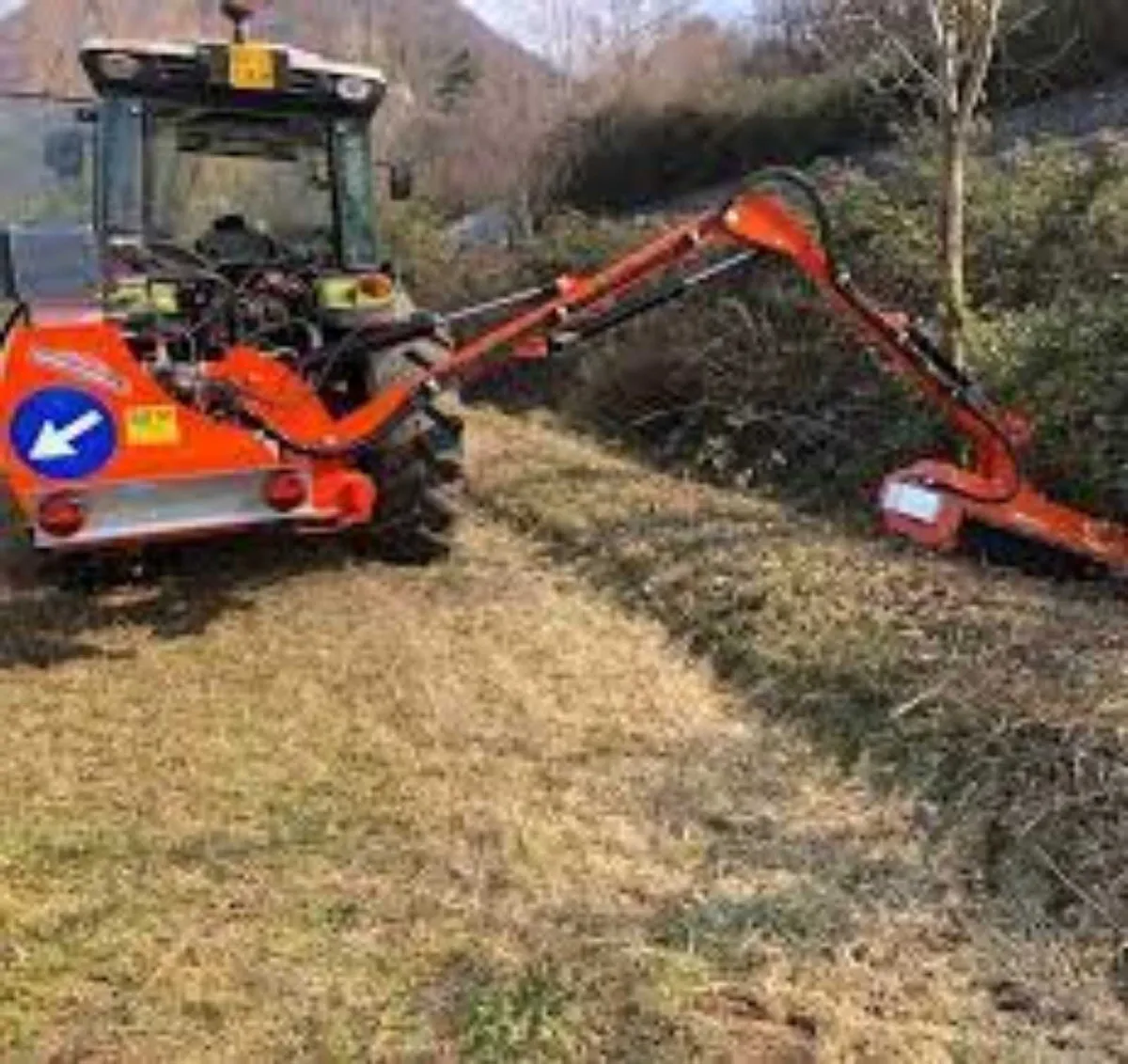 Rinieri BRV 450 flail hedge trimmer for sale in Co. Wexford for €1 on ...