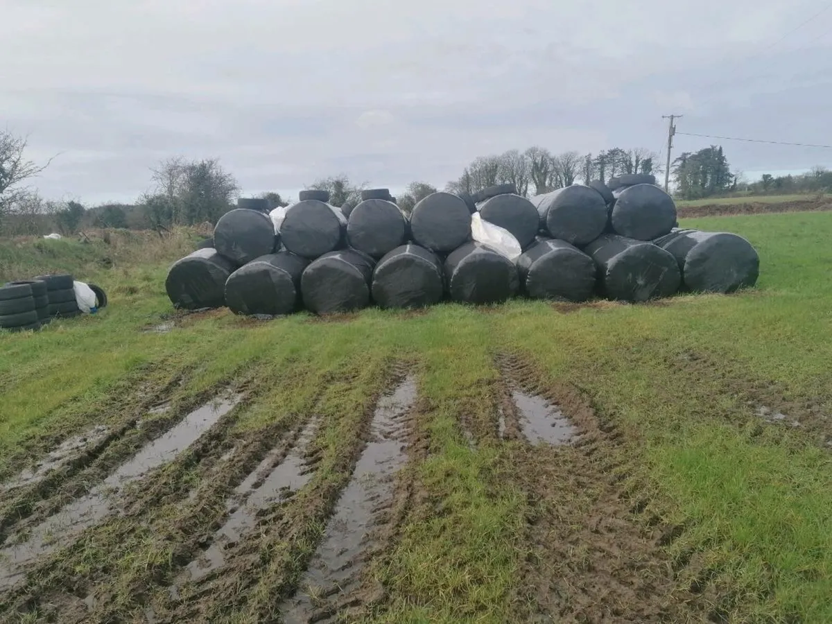 Silage bales for sale in Co. Cork for €40 on DoneDeal