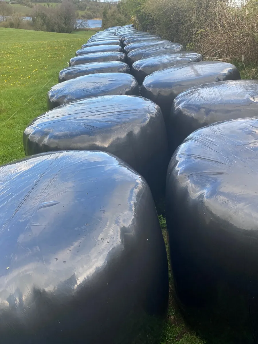 Silage Bales for sale in Co. Cavan for €30 on DoneDeal