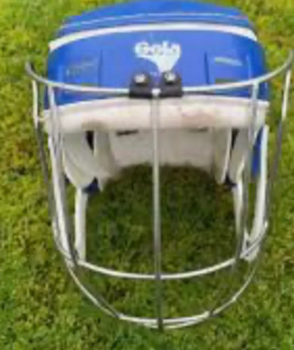 Retro Kilkenny face gaurd wanted in Co. Meath for €1 on DoneDeal