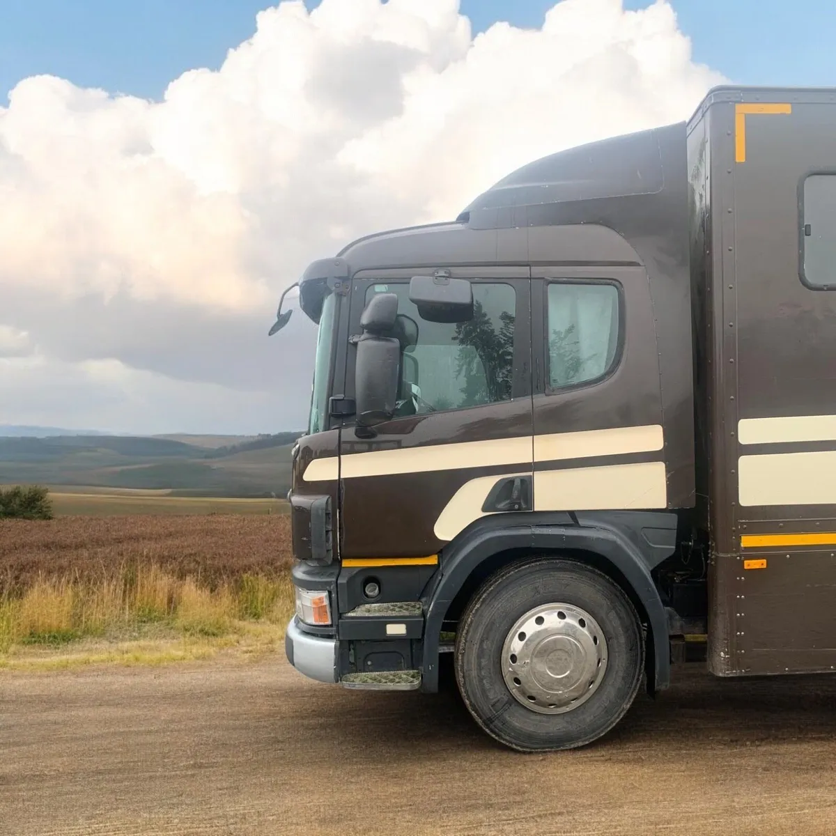 1998 SCANIA 220 Horse Lorry for sale in Co. Galway for €14,000 on DoneDeal