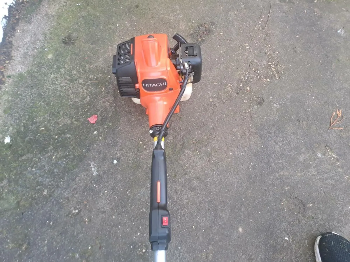 Hitachi strimmer store