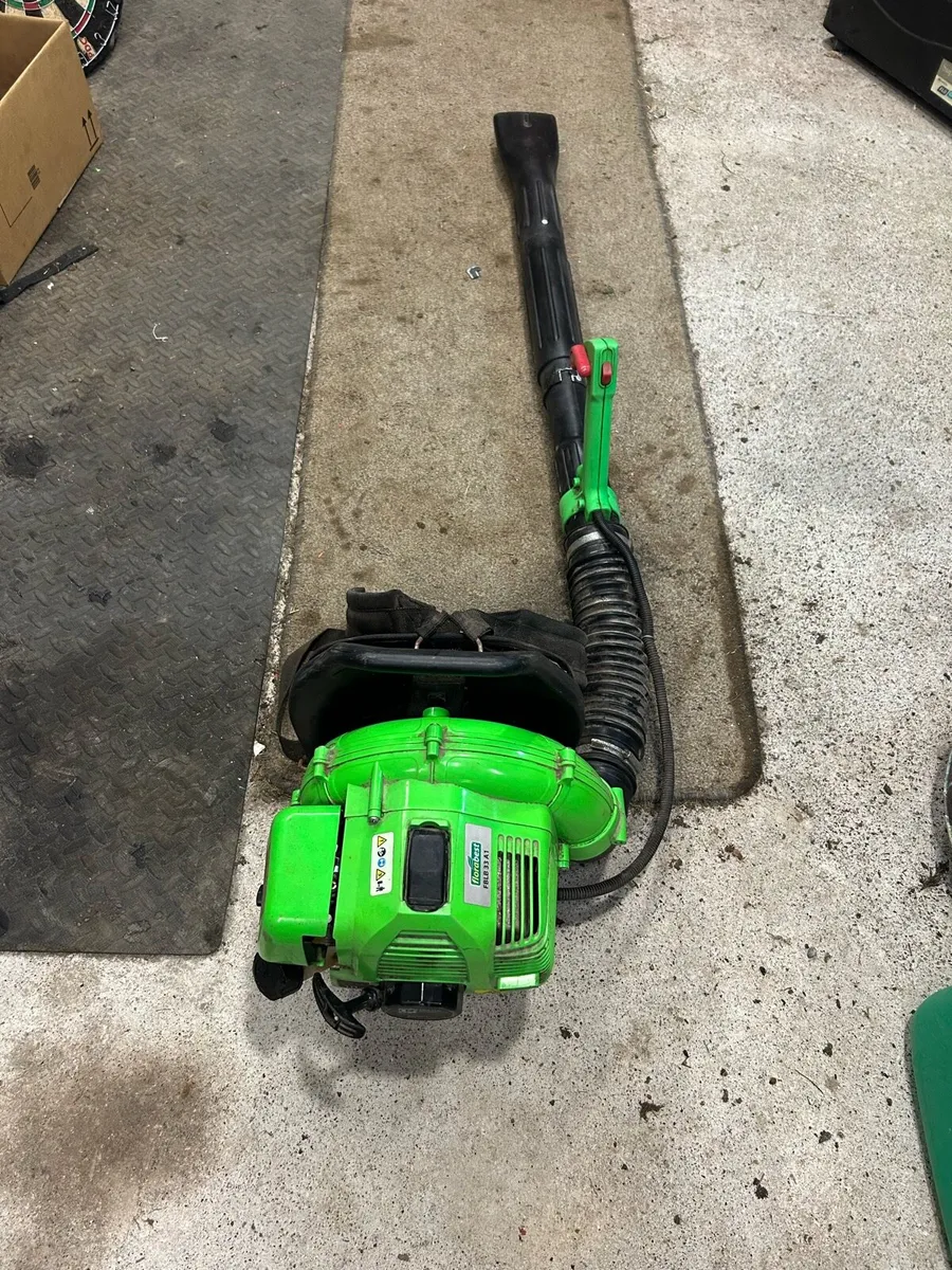 Florabest petrol backpack leaf blower for sale in Co. Tipperary for 70 on DoneDeal