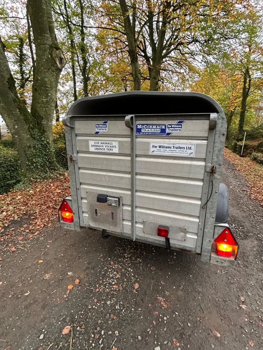 Ifor Williams P8 Calf and Sheep Trailer 8x4 for sale in Co. Kildare for ...