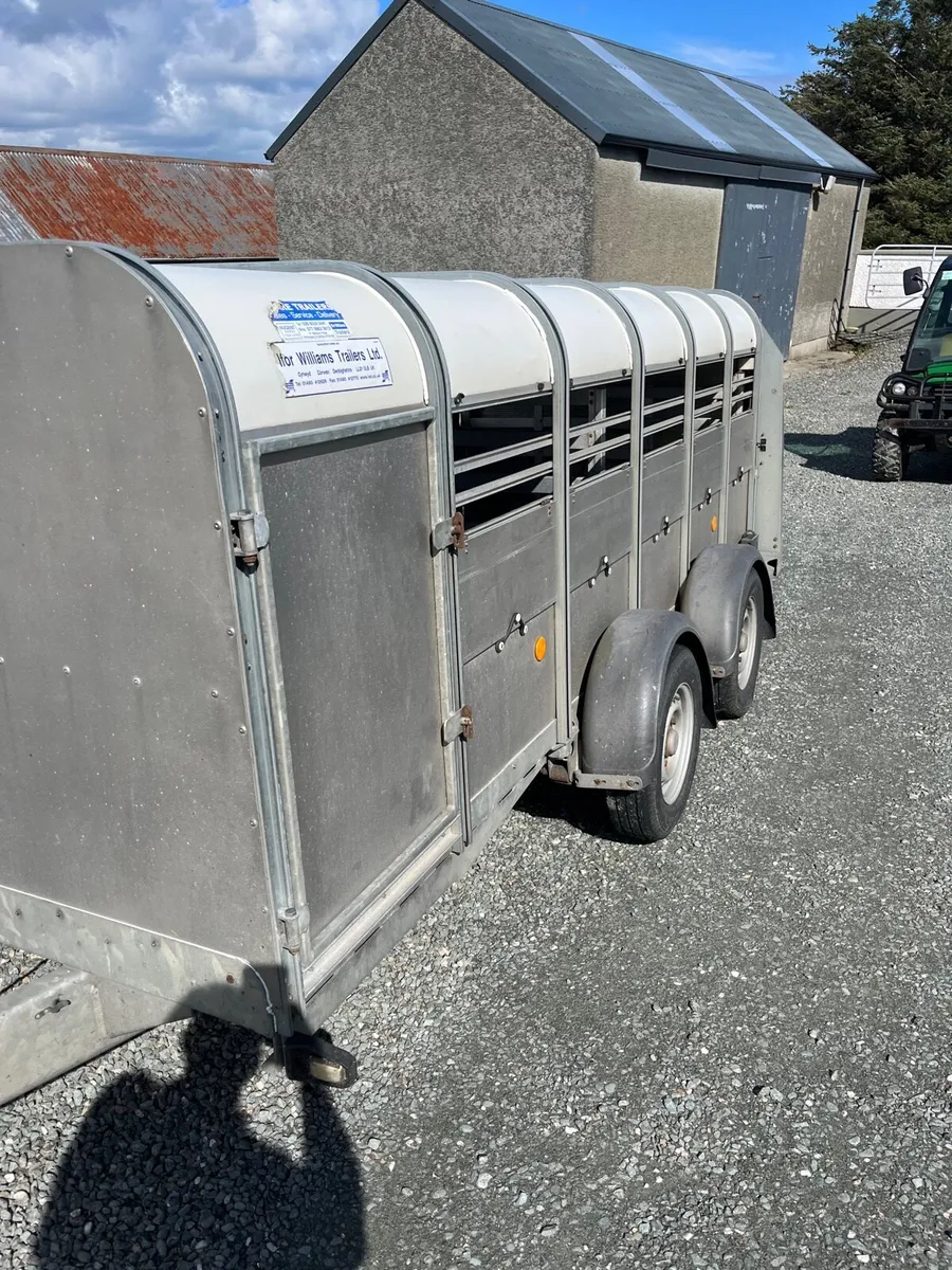 12ft Ifor Williams low roof pig/sheep trailer for sale in Co. Donegal ...