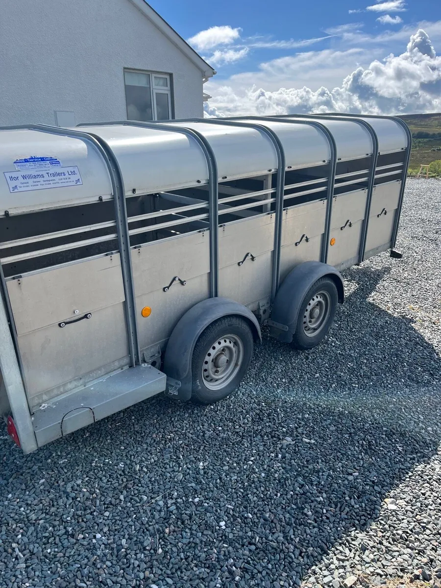 12ft Ifor Williams low roof pig/sheep trailer for sale in Co. Donegal ...