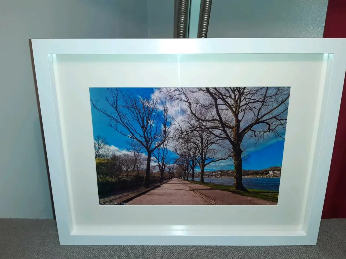 The Marina, Cork for sale in Co. Cork for €20 on DoneDeal