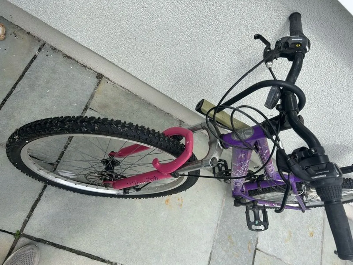 mountain bike for sale in Co. Dublin for €120 on DoneDeal