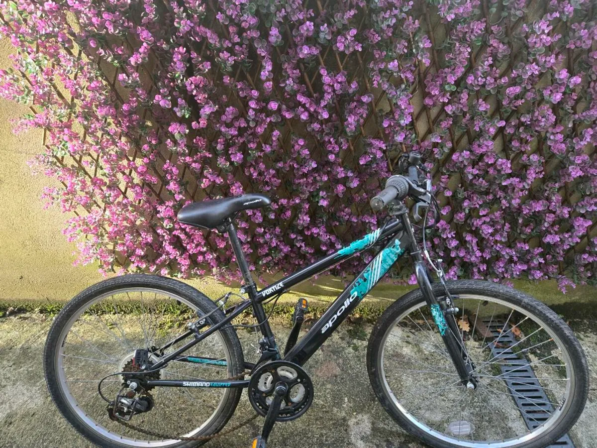 Kids bike for sale in Co. Limerick for €280 on DoneDeal