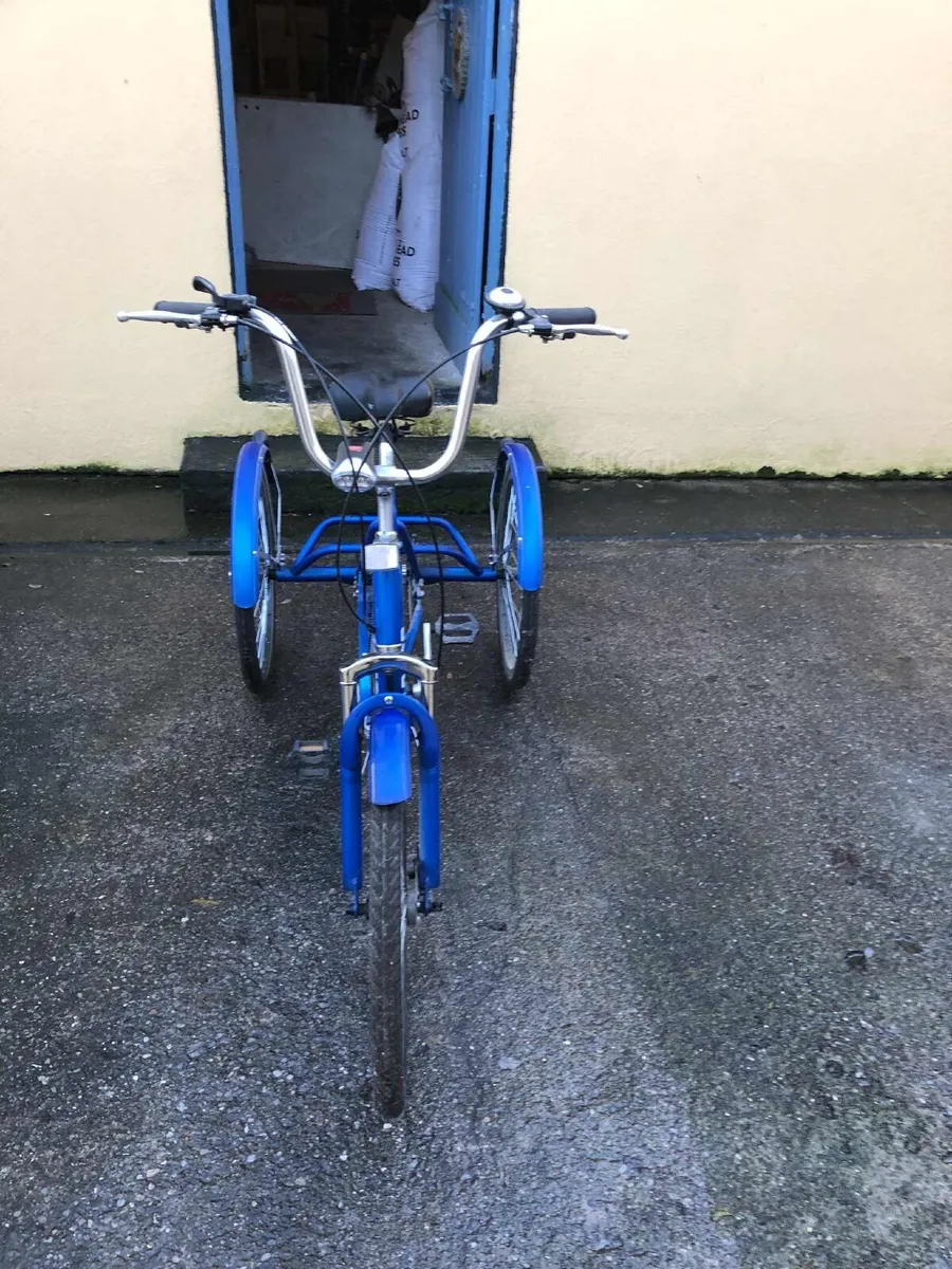 3 wheeler bike adults for sale in Co. Sligo for €450 on DoneDeal