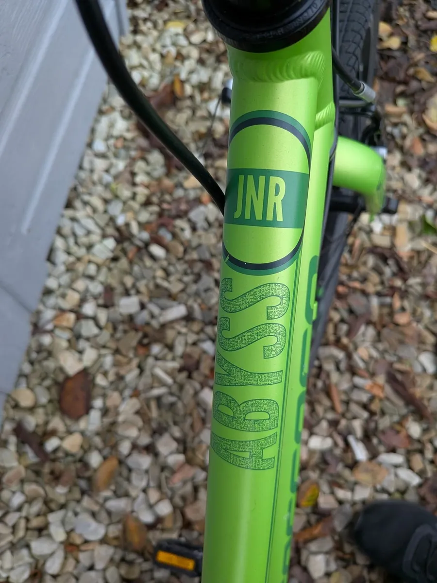 Carrera Abyss junior 20 inch bike for sale in Co. Donegal for €120 on DoneDeal