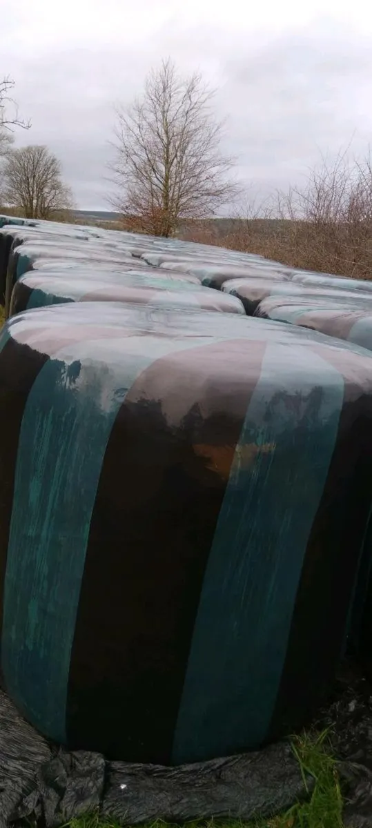 Silage for sale for sale in Co. Sligo for €30 on DoneDeal