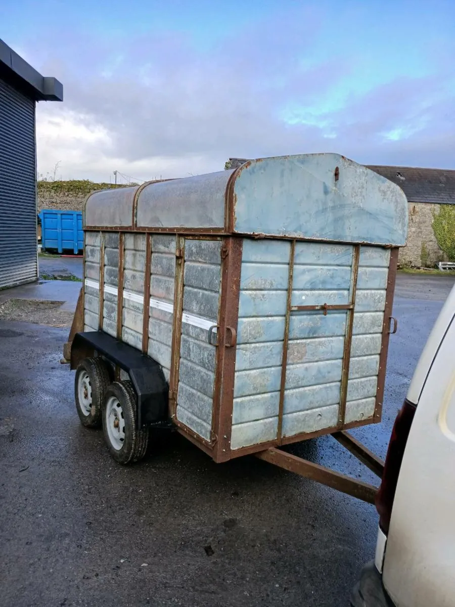 Trailer cow box for sale in Co. Kilkenny for €1,500 on DoneDeal