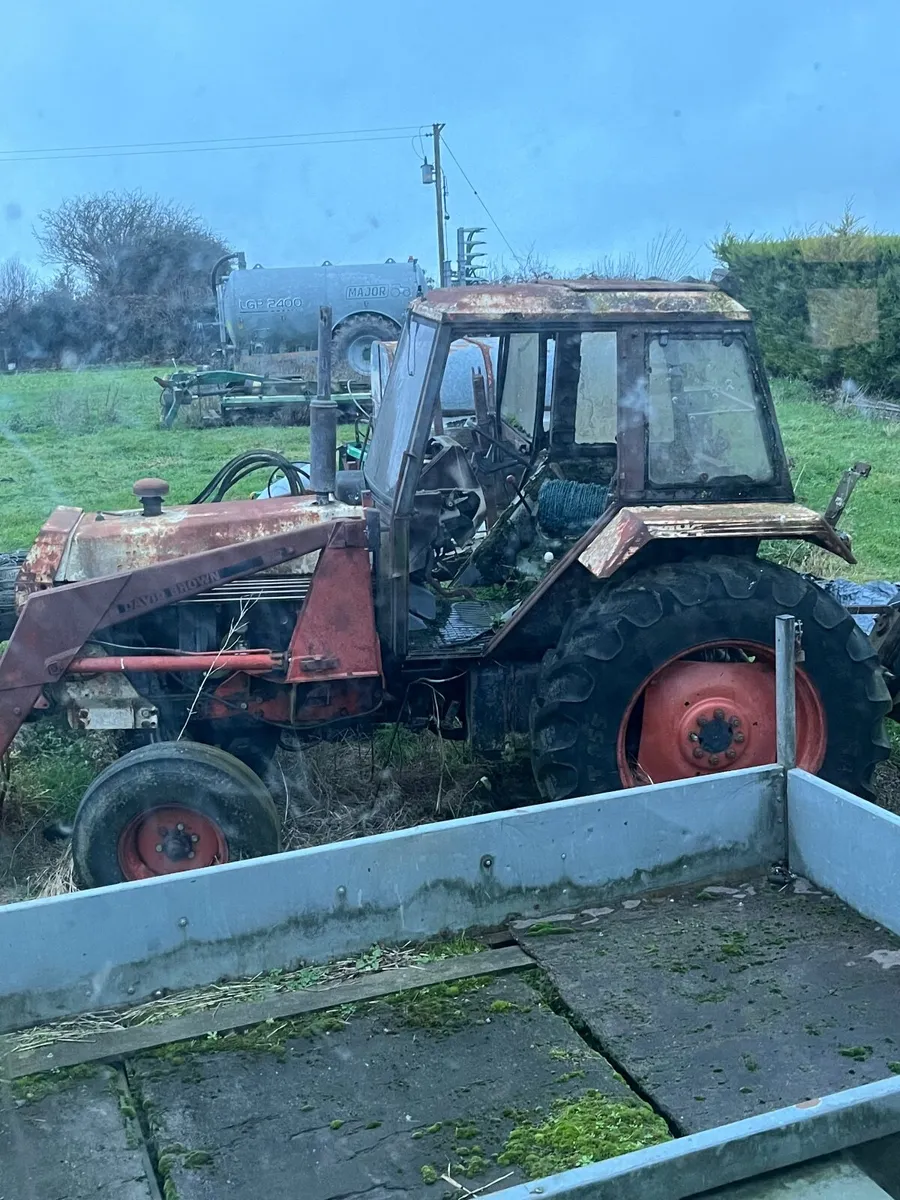 David Browne for sale in Co. Kilkenny for €3,500 on DoneDeal
