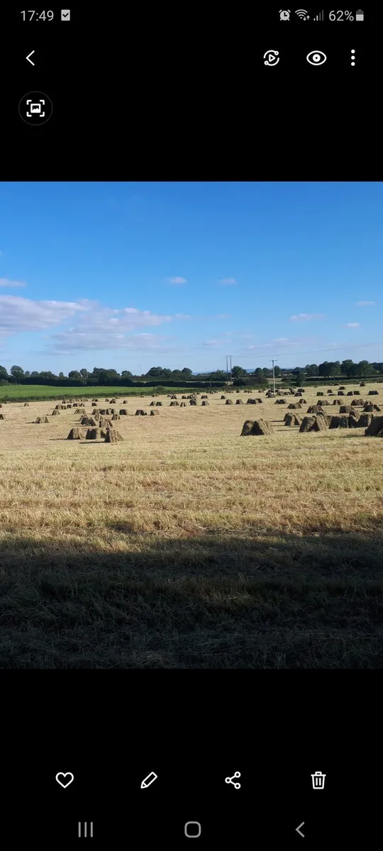 Small square bales Hay for sale in Co. Offaly for €5 on DoneDeal