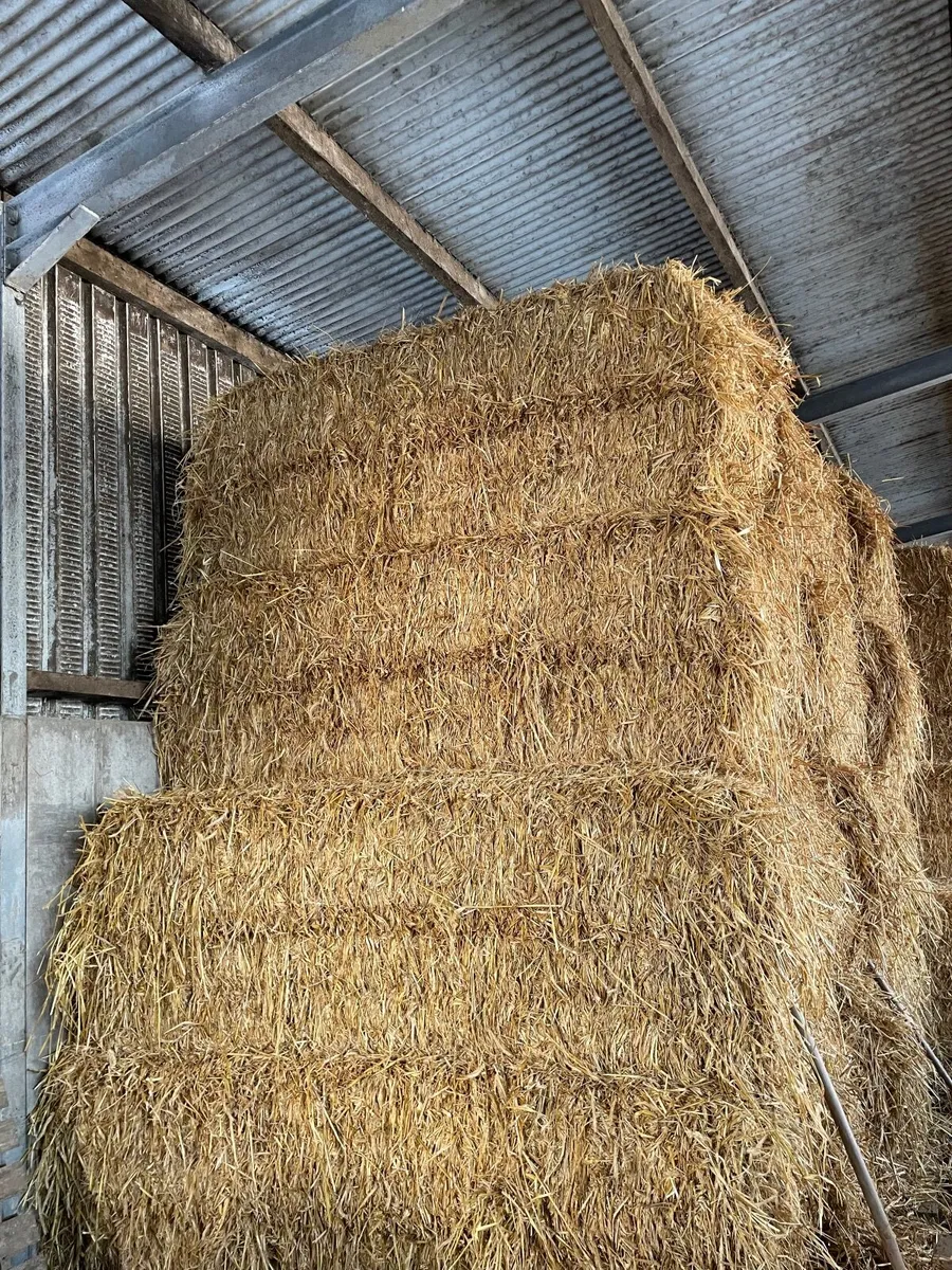Straw for sale in Co. Donegal for €50 on DoneDeal