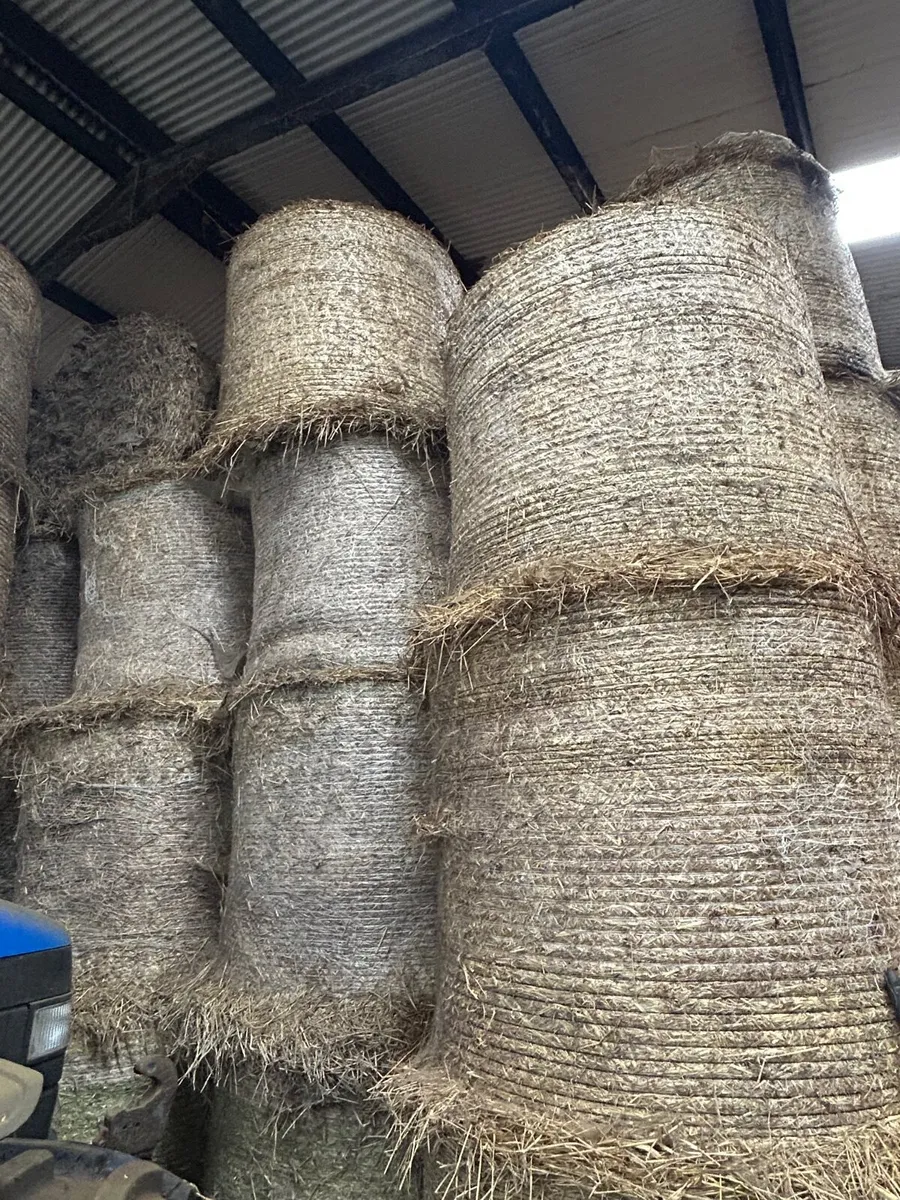 Straw large round & small for sale in Co. Fermanagh for £25 on DoneDeal