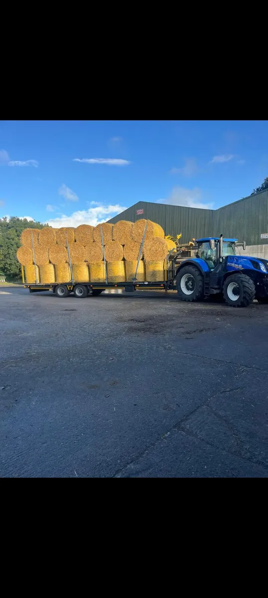 Straw For Sale for sale in Co. Kildare for €20 on DoneDeal