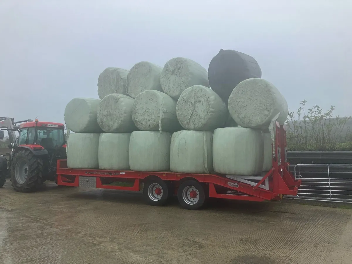 Hay and Silage for sale in Co. Roscommon for €30 on DoneDeal