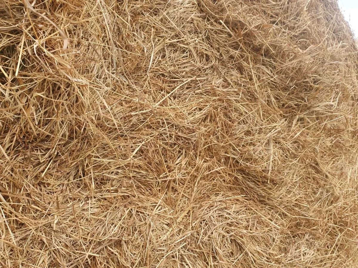 Hay Haylage and Wheat straw for sale in Co. Derry for £30 on DoneDeal