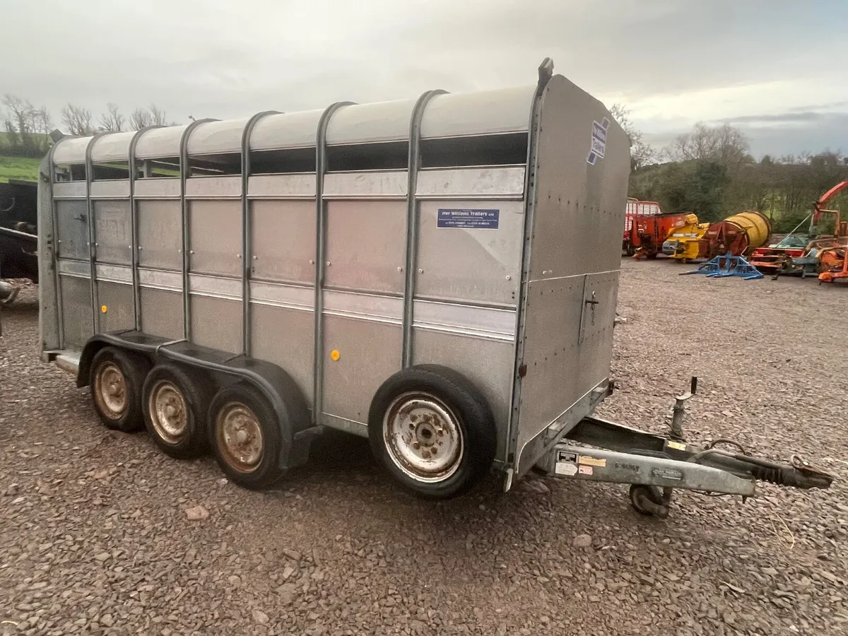 Ifor Williams 14ft Tri axle cattle trailer for sale in Co. Fermanagh ...
