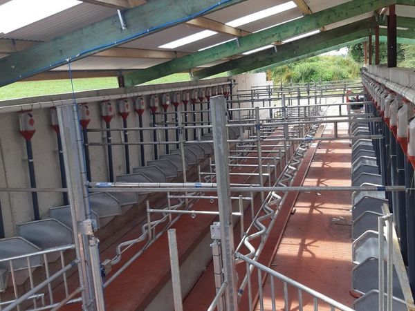 Front Milking Parlour Air Gates for sale in Limerick for €1 on DoneDeal