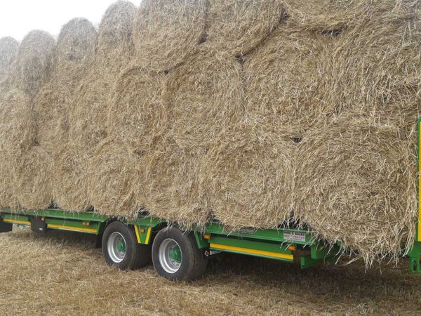 #1 for bale/potato box trailer hire. for sale in Wexford for €1 on DoneDeal