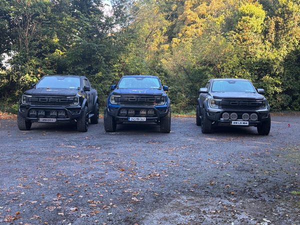 Ford ranger raptor remap for sale in Offaly for €600 on DoneDeal
