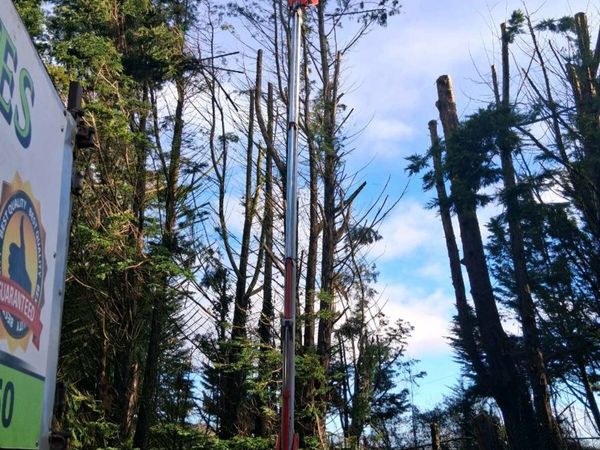 Multitel smx 250 lift for sale in Co. Westmeath for €28,000 on DoneDeal