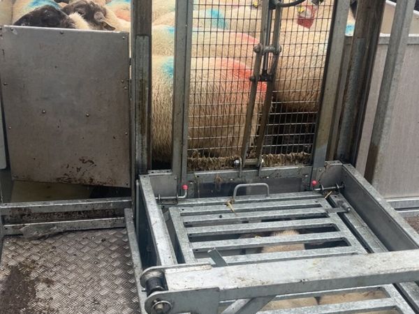 Sheep tub dipping for sale in Kilkenny for €12,345 on DoneDeal
