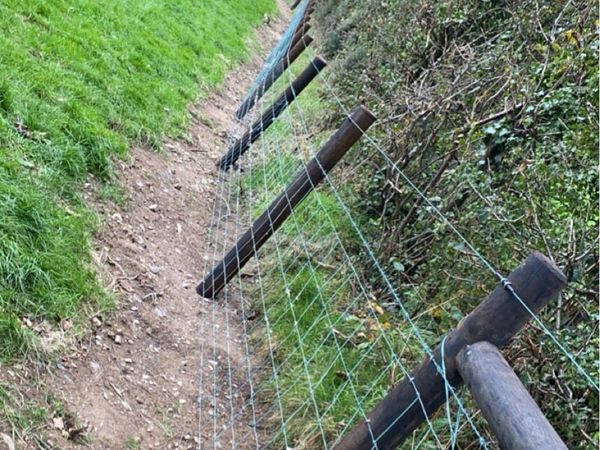 Fencing / Tree cutting for sale in Co. Monaghan for €1,234 on DoneDeal
