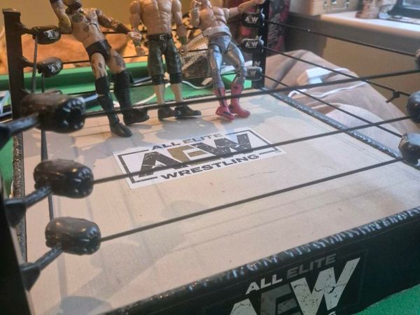 Wwe Wrestlers for sale in Co. Galway for €20 on DoneDeal