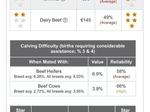 Pedigree Aubrac Bull for sale in Sligo for €3,400 on DoneDeal