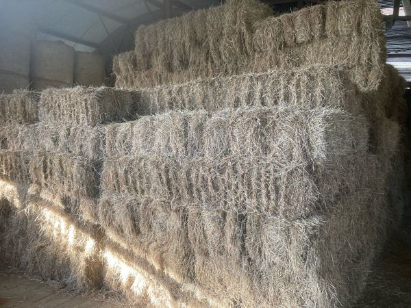 Hay small square bales for sale in Wicklow for €5 on DoneDeal