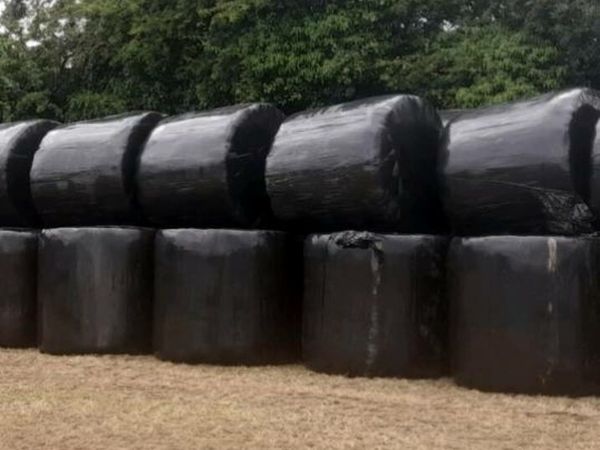 Haylage Bales for sale in Co. Roscommon for €25 on DoneDeal