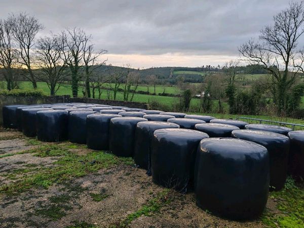 Silage bales for sale in Co. Tyrone for £25 on DoneDeal