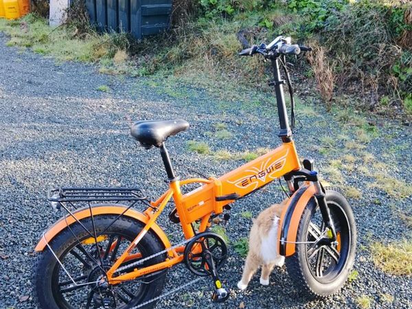 E Bike, Engwe Pro 2 (only used for 77kms) for sale in Co. Wexford for €700 on DoneDeal