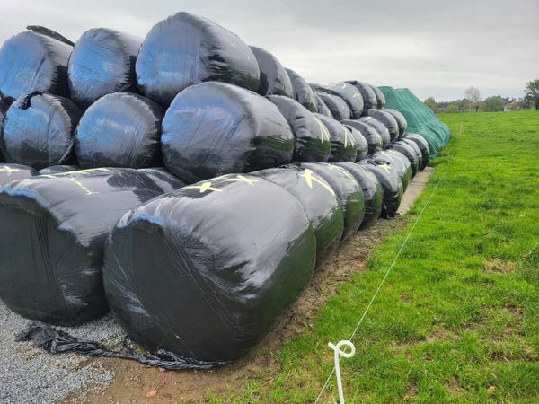 ROUND BALES / SILAGE for sale in Co. Monaghan for €35 on DoneDeal