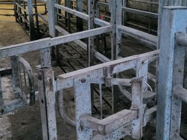 Alfco drafting gate for sale in Co. Clare for €2,250 on DoneDeal