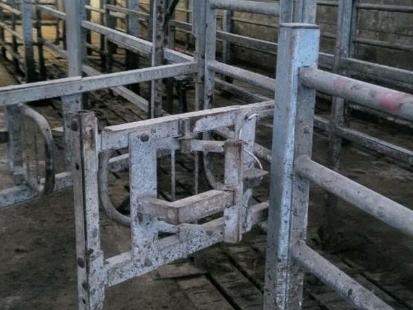 Alfco drafting gate for sale in Co. Clare for €2,250 on DoneDeal