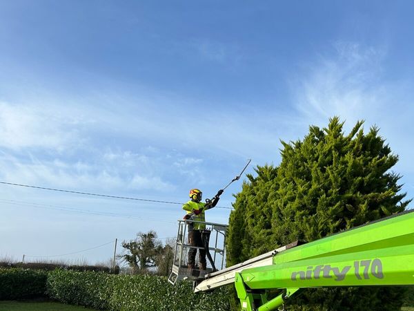 Tree surgery tree felling for sale in Co. Galway for €1 on DoneDeal