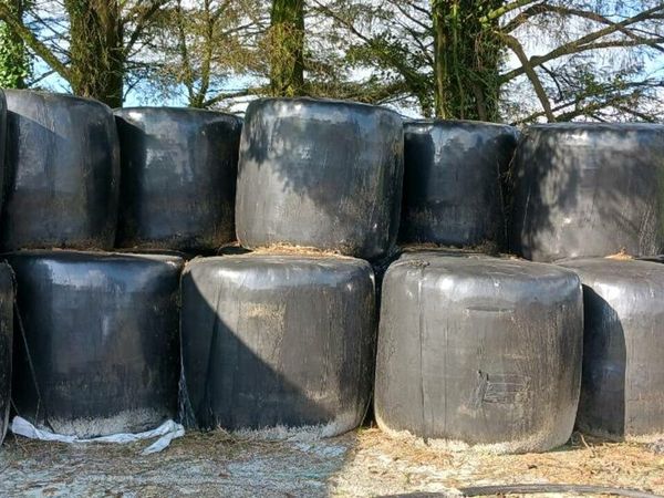 Hay Haylage and Silage for sale in Co. Cork for €1,234 on DoneDeal