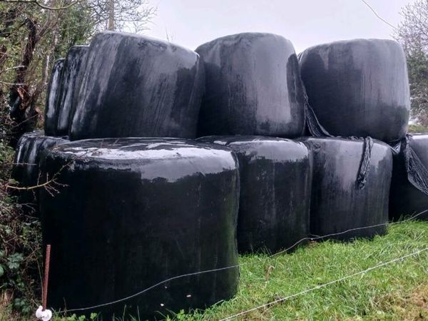 Hay Haylage and Silage for sale in Co. Cork for €1,234 on DoneDeal