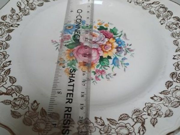 J & G Meakin plate with 22k gold for sale in Co. Leitrim for €25 on ...