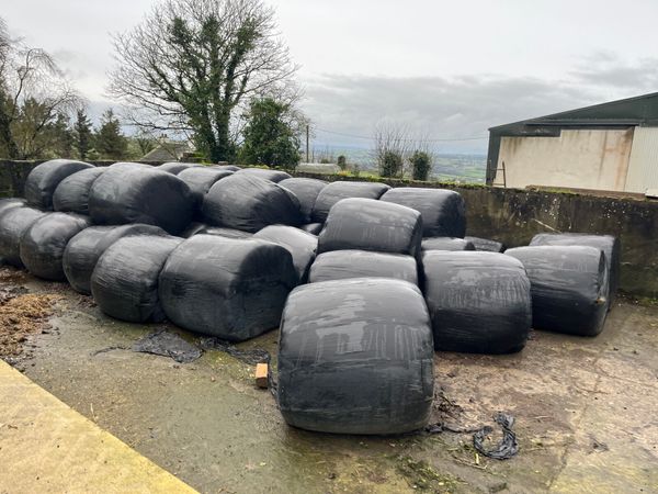 Round bales of Silage 1st,2nd & 3rd cut for sale in Co. Tyrone for £123 ...