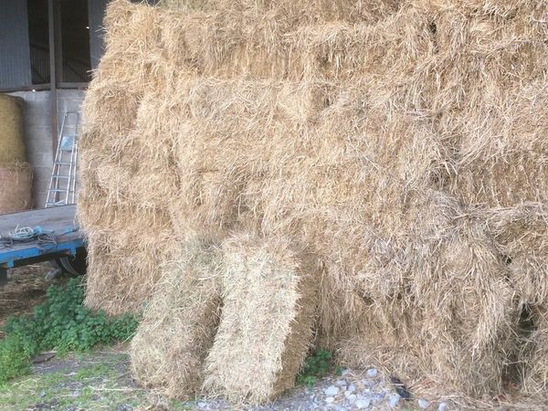Hay bales for sale in Co. Roscommon for €4 on DoneDeal