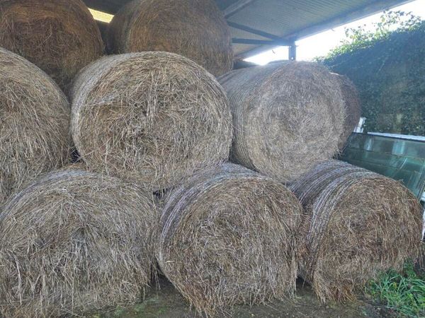 Hay Bales / bedding for sale in Co. Cork for €20 on DoneDeal