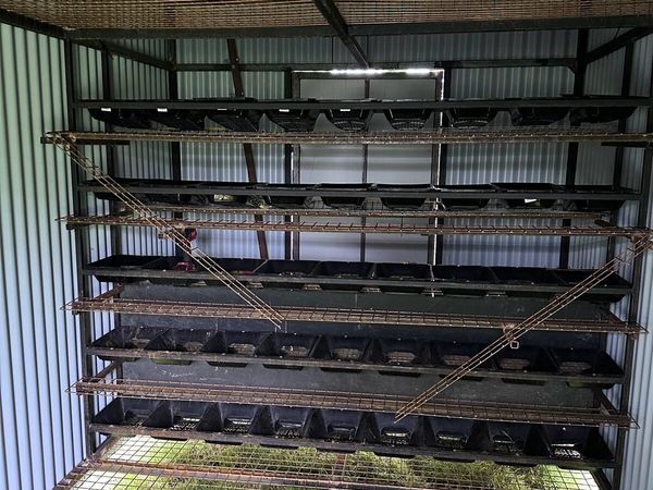 Mobile Chicken Trailer/Shed for sale in Co. Louth for €1,234 on DoneDeal