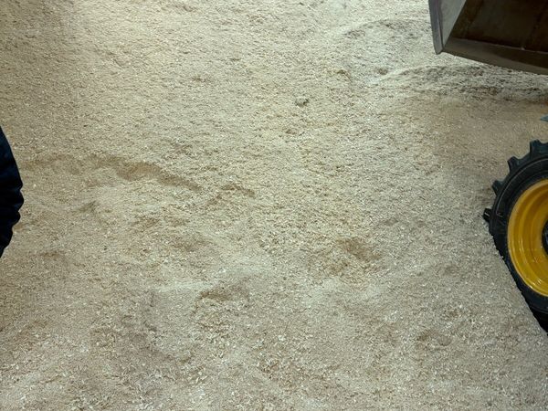 Dry White Sawdust in Bulk Jumbo Bags Delivered for sale in Co. Down for ...
