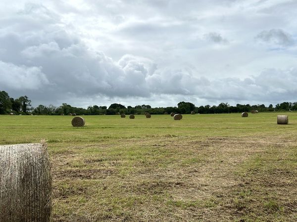 Land wanted to rent for sale in Co. Meath for €1,234 on DoneDeal